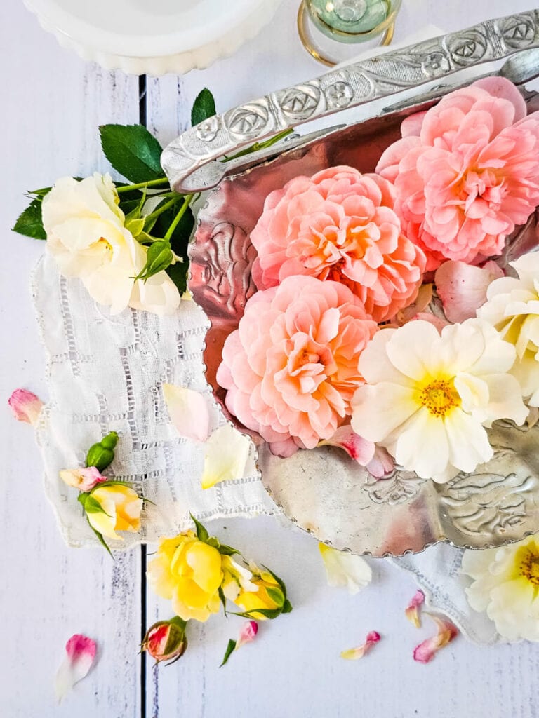 Luxurious Homemade Rose Lotion Recipe - greenbeautymama.com