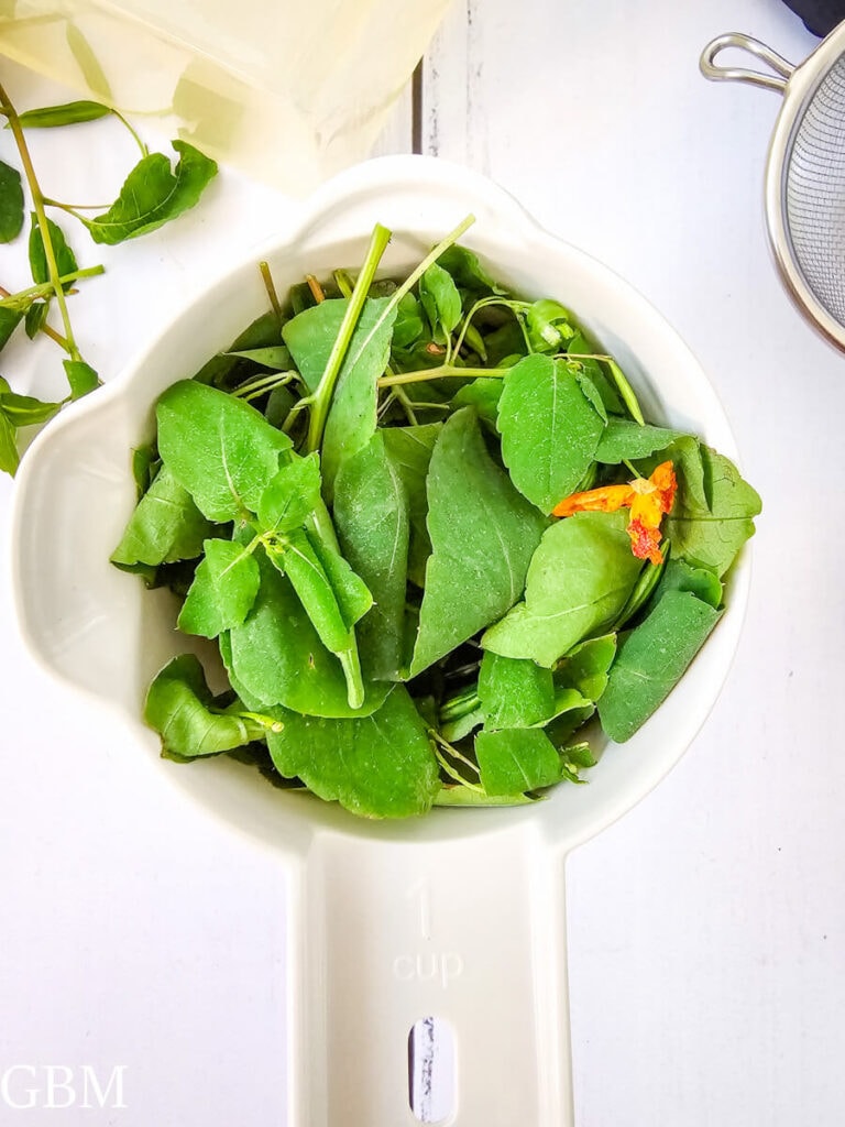 The Easiest Melt and Pour Jewelweed Soap Recipe: A Natural Poison Ivy ...